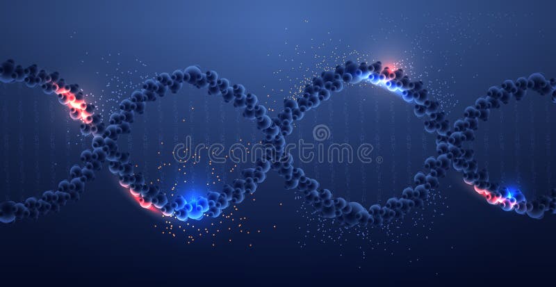 DNA Helical Structure stock illustration. Illustration of bases - 932211