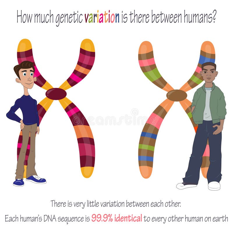 Human Genetic Variation between Individuals Stock Vector - Illustration ...