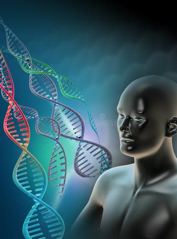 Human Genome stock illustration. Illustration of helixes - 20795416