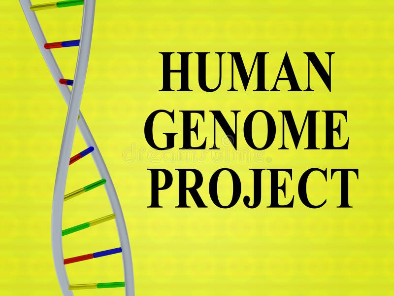 What is the human genome project called a mega project - koreasy