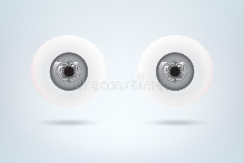 Human Grey Eyes Balls Pupil. Medical Visual Material Stock Vector ...