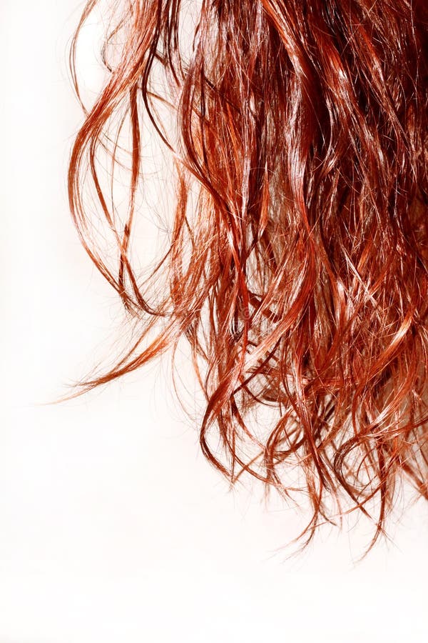 Human hair stock image. Image of hair, brunette, human - 3995799