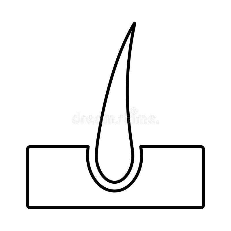 Human Hair Icon in Outline Style Stock Vector - Illustration of ...