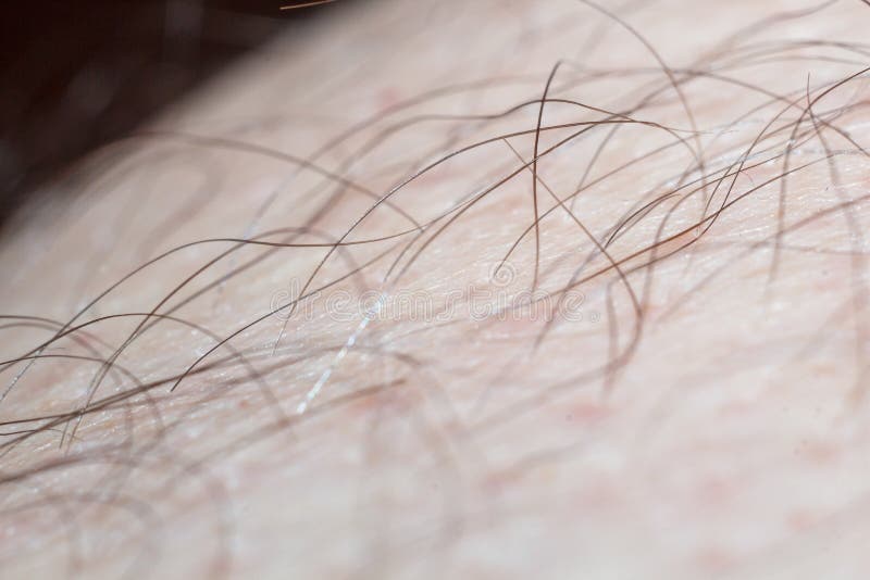 Human hair macro stock image. Image of abstract, close - 177385845