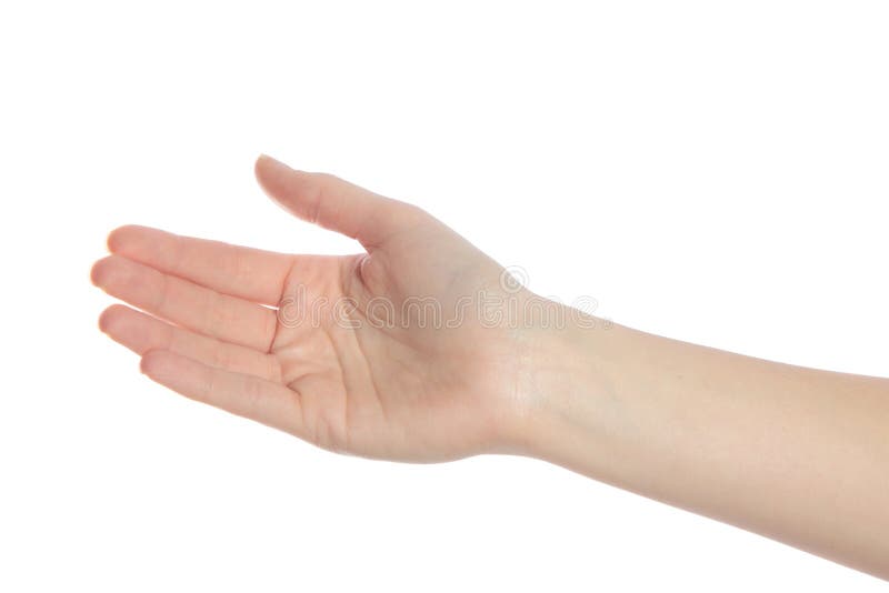 Human hand stock image. Image of isolated, cutout, human - 13085815