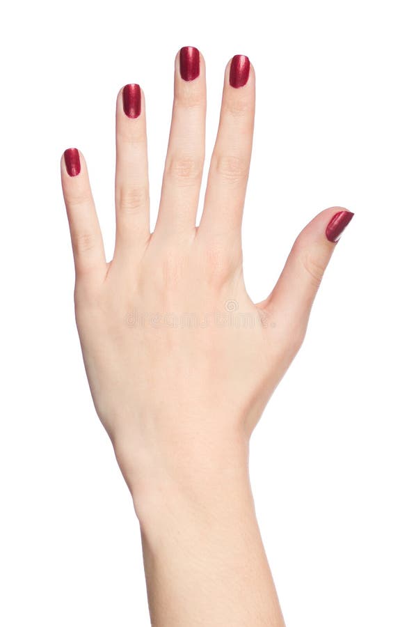 Human hand stock photo. Image of human, french, polish - 18954094