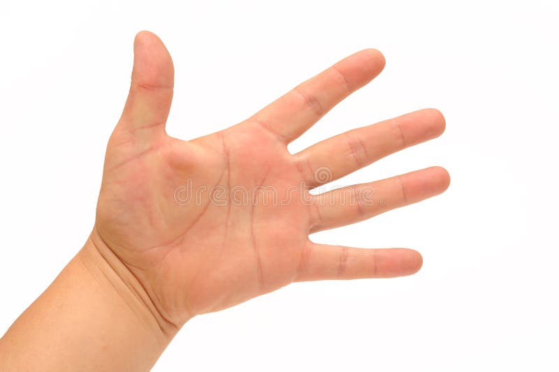Human Hand stock image. Image of part, white, body, skin - 20193405