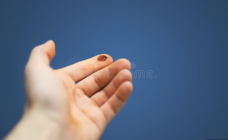 2,523 Human Anatomy Gesture Stock Photos - Free & Royalty-Free Stock ...