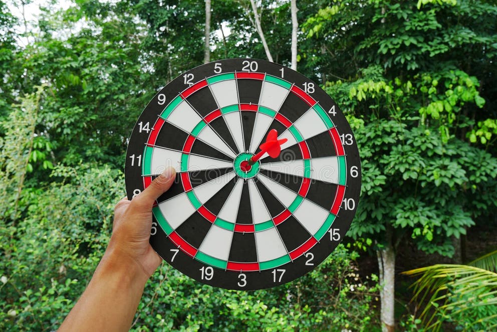 The Human Hand and Arrow Hit the Center of the Target Board. Stock ...