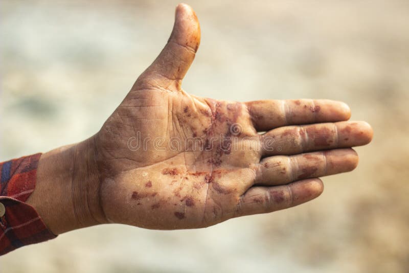 It is a Human Hand and the Background is White and Blurred Stock Photo ...