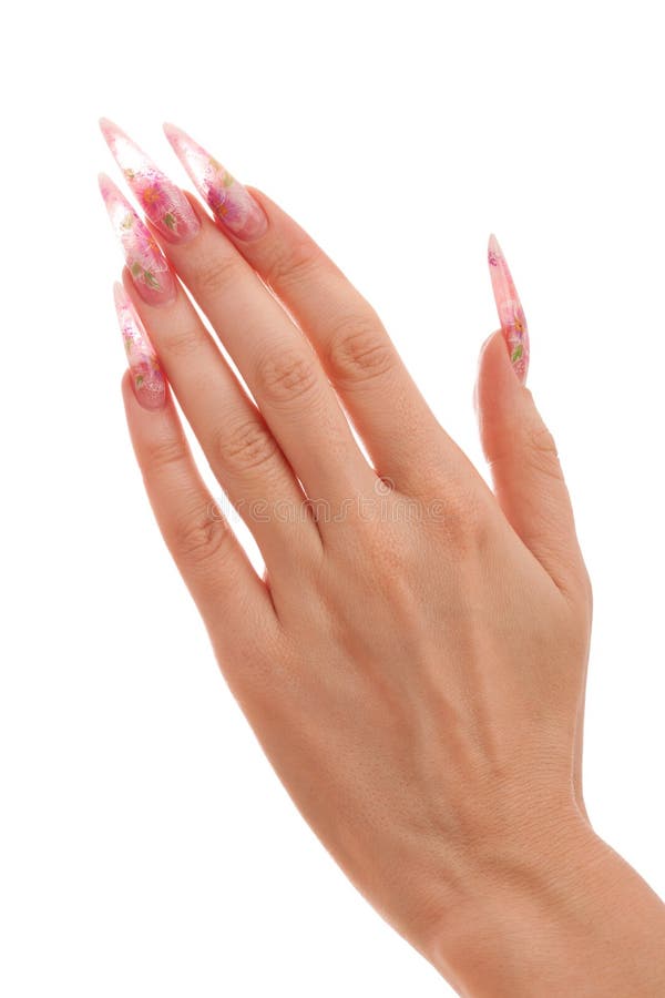 Human Hand with the Beautiful Fingernail Stock Photo - Image of fashion ... Human Hand with the Beautiful Fingernail Stock Photo - Image of fashion ...