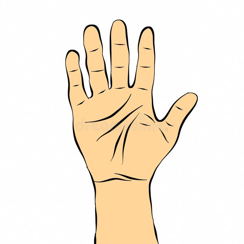 Human Hand Beautiful Illustration on Plain White Background Stock ...