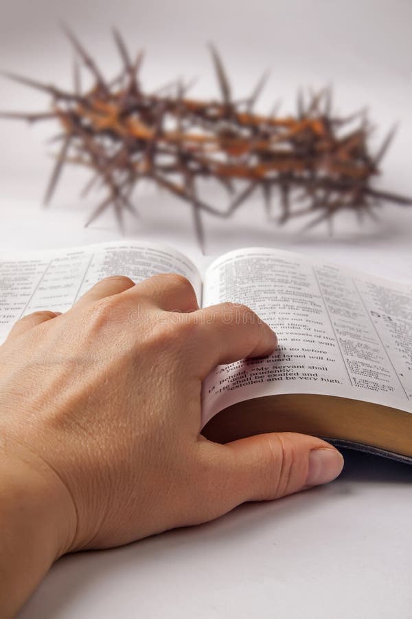 Human hand on bible stock image. Image of holybible, isolatedonwhite ...