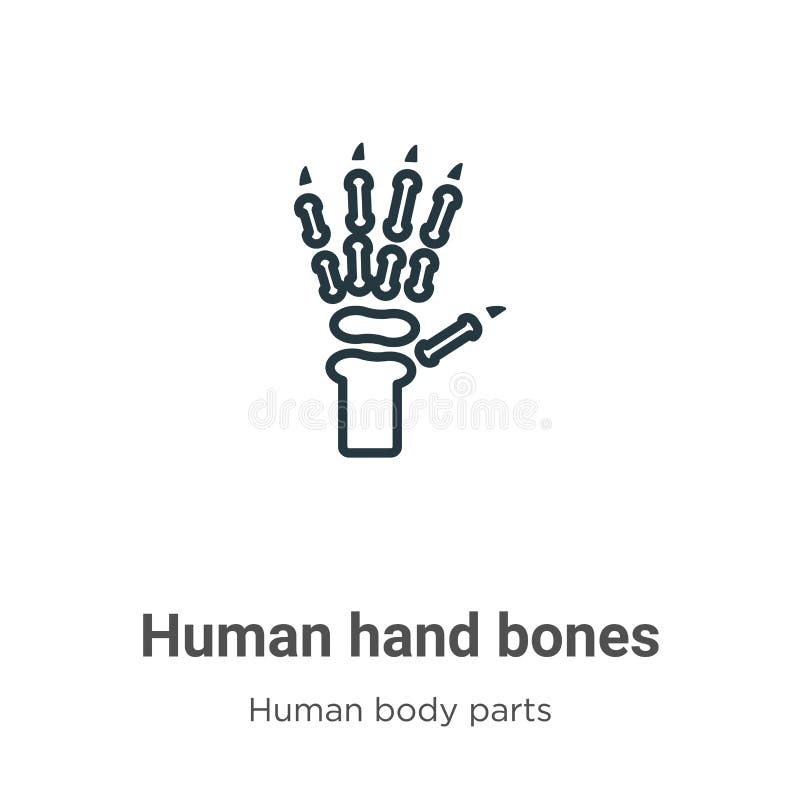 Human Hand Bones Outline Vector Icon. Thin Line Black Human Hand Bones ...