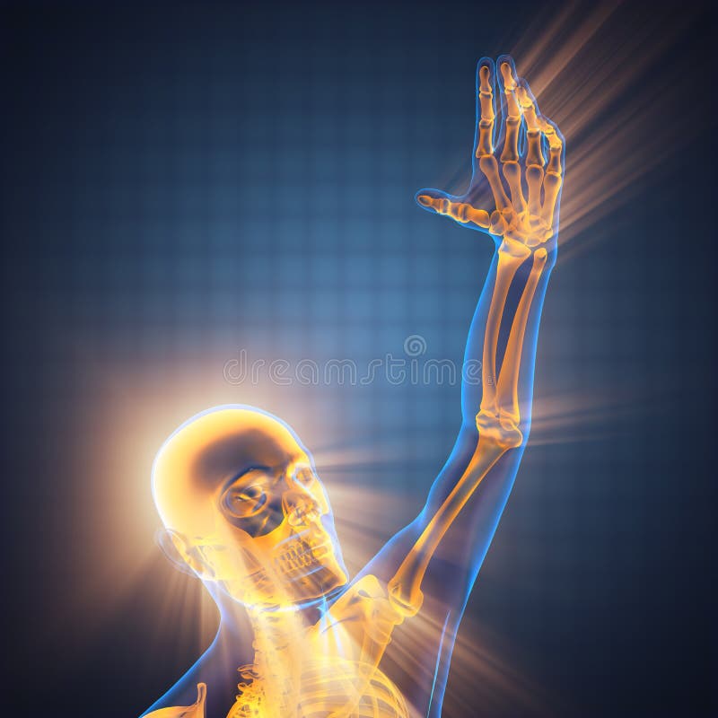 Human Hand Bones Radiography Stock Photo - Image of joint, health: 61996140