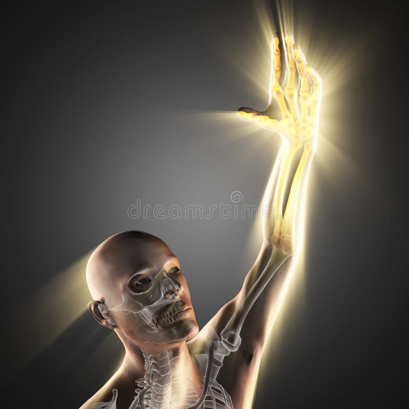 Human Hand Bones Radiography Stock Photo - Image of biology, radiology ...