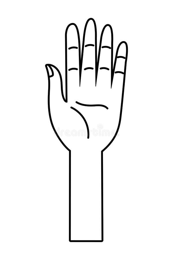 Human hand cartoon stock vector. Illustration of palm - 142650691