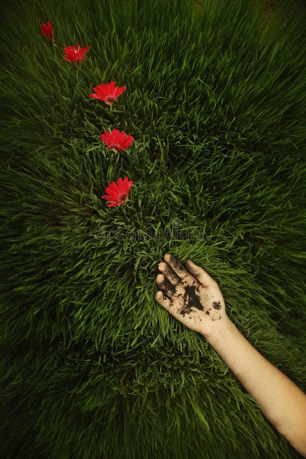 Human Hand with Dirt Resting on Grass. Conceptual Image Stock Image ...