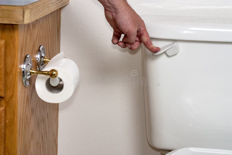 Human Hand Flushing a Toilet Stock Photo - Image of beauty, indoor ...