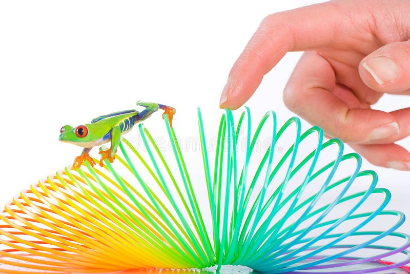 Human Hand Following a Red Eyed Tree Frog on Toy Editorial Photography ...