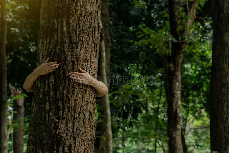 Human Hand Give Hug To Tree in Forest.Concept of Global Problem of ...