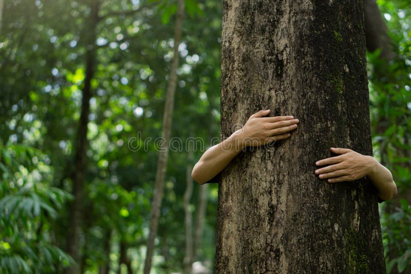 Human Hand Give Hug To Tree in Forest.Concept of Global Problem of ...