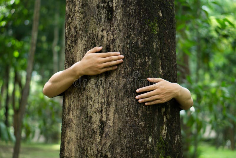 Human Hand Give Hug To Tree in Forest.Concept of Global Problem of ...