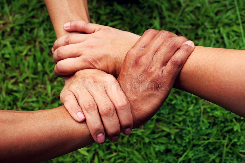 Human Hand.hand Catch Stable. Stock Photo - Image of peoples ...