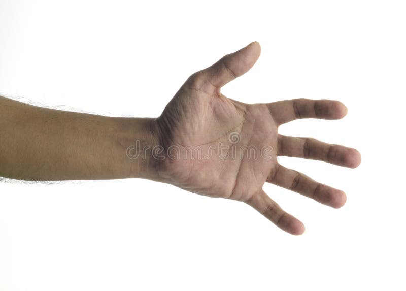 Human Hand stock photo. Image of male, shot, hand, studio - 62499172