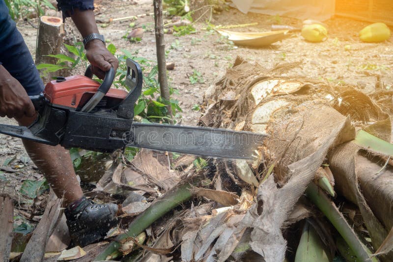 Human Hand Hold Sawing Machine Cutting Tree. Stock Photo - Image of ...