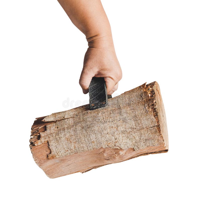 Human Hand Hold a Wood Stump or Timber Wood on White Stock Image ...