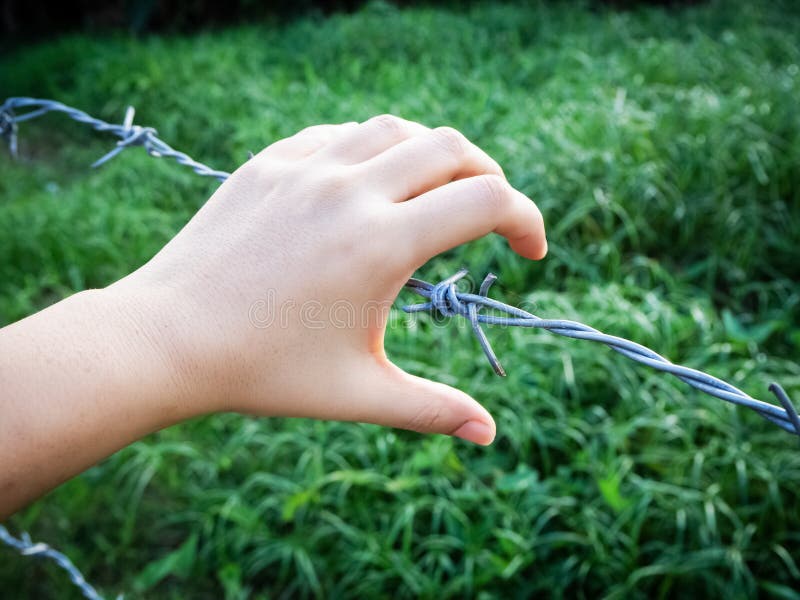 Human Hand Holding Barbed Wire Stock Photo - Image of peace, camp ...