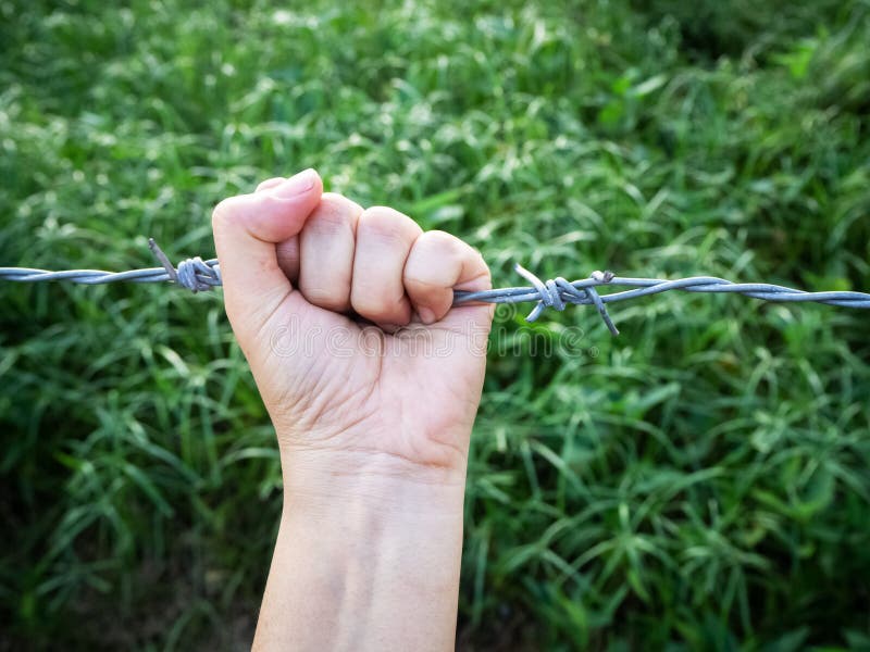 Human Hand Holding Barbed Wire Stock Photo - Image of punishment ...