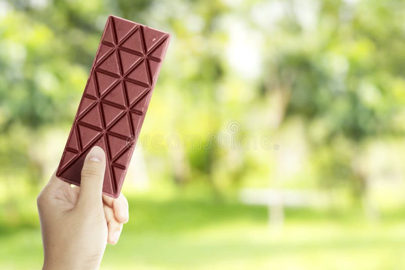 Human Hand Holding the Chocolate Bar Stock Photo - Image of delicious ...
