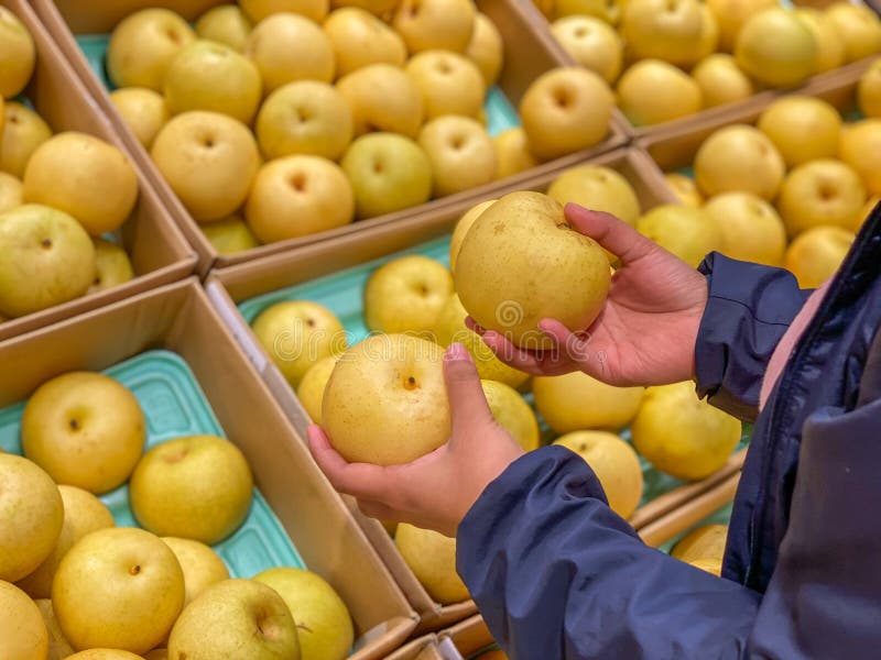 Human Hand Holding and Choosing Fresh Pear at Fruit Store Stock Photo ...