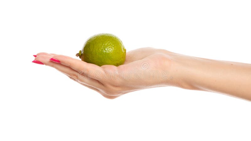 Human Hand Holding Green Lime Stock Image - Image of palm, season: 10229369
