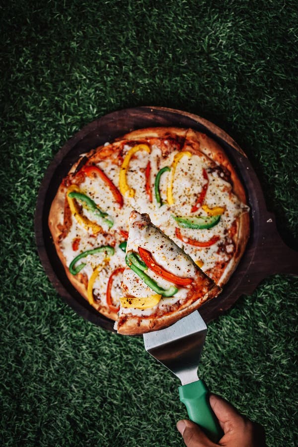 Human hand holding pizza stock photo. Image of dinner - 264778672