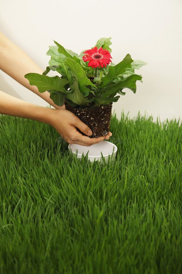 Human Hand Pouring Water into an Overflowing Glass Stock Photo - Image ...