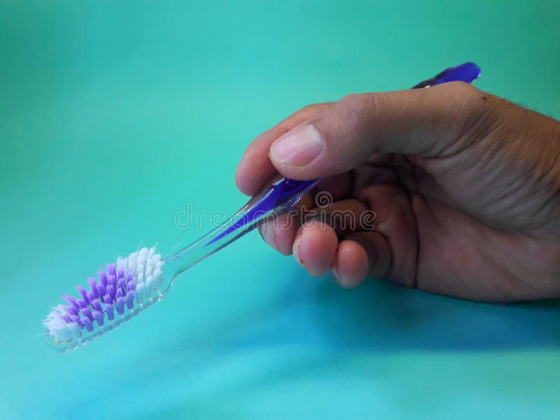 Human Hand Holding Purple Toothbrush Stock Photo - Image of human, hand ...