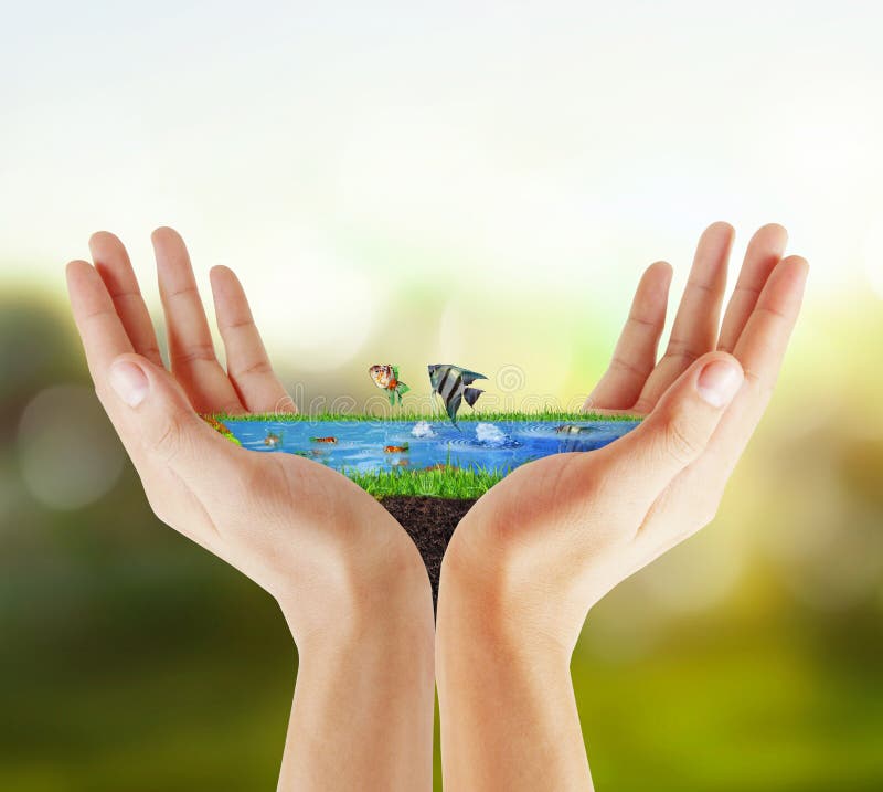 Human hand holding sea stock photo. Image of village - 46414248