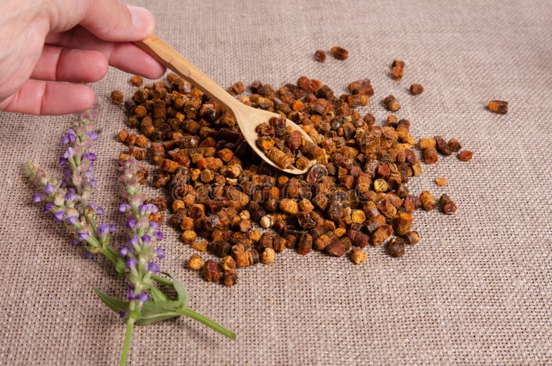 Human Hand Holding Spoon with Bee Bread, Bee Bread As an Alternative ...