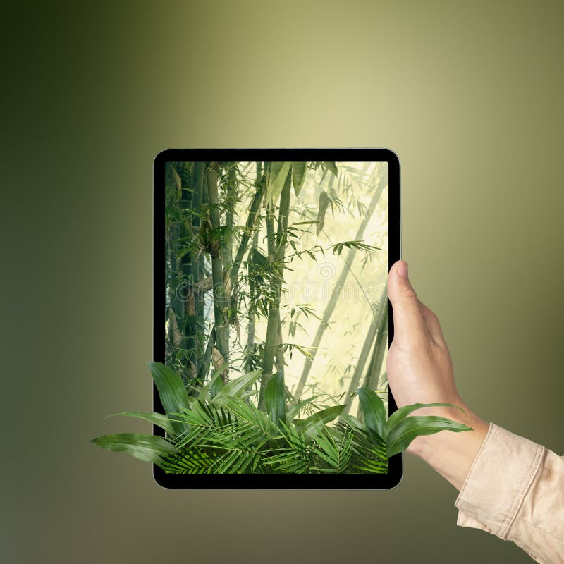 Human Hand Holding Tablet with a Screen View of the Rainforest with ...