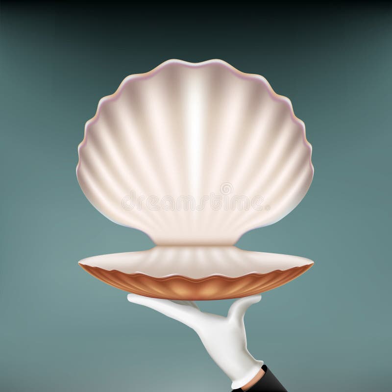 Human Hand Holds an Open Empty Seashell Stock Vector - Illustration of ...
