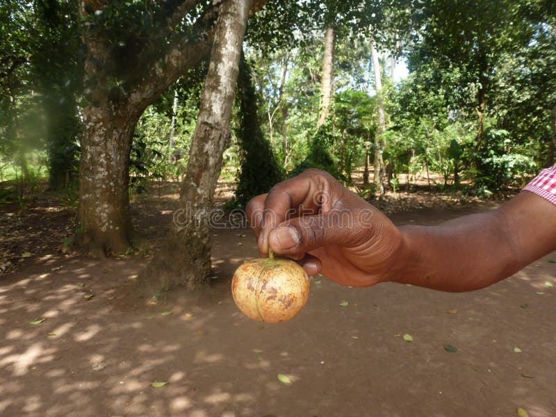 Derem Stock Photos - Free & Royalty-Free Stock Photos from Dreamstime