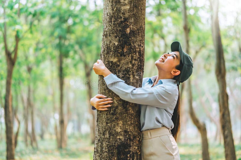 Human Hand Hug and Touching Tree in the Forest .people Protect from ...