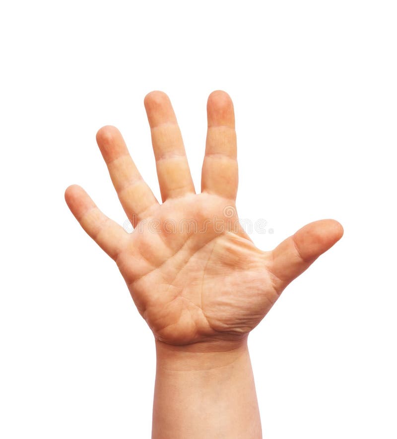 Human hand over white stock image. Image of human, give - 26846013