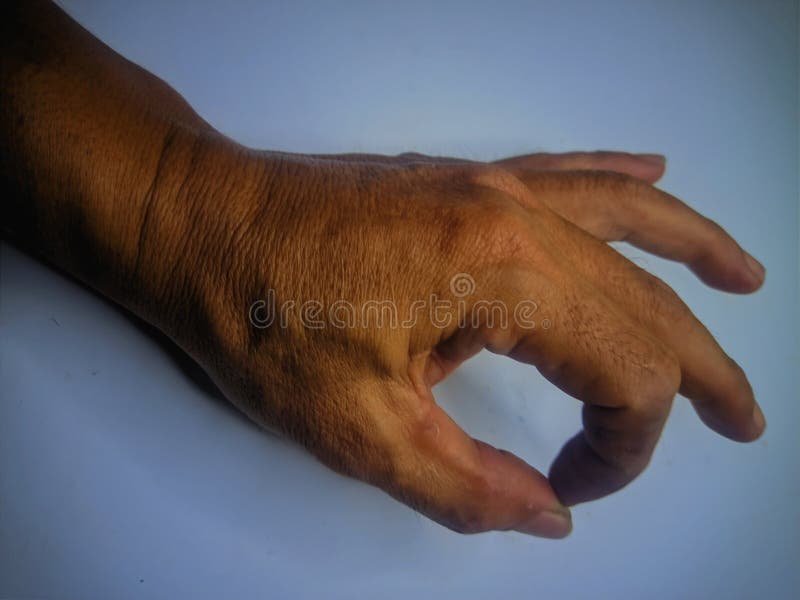 Human Hand with Natural Texture Posed on Neutral Background Stock Photo ...