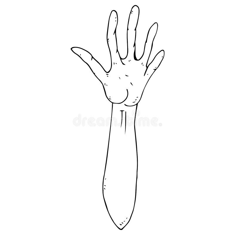 Human Hand with an Open Palm. Open Hand. Five Fingers on the Hand ...