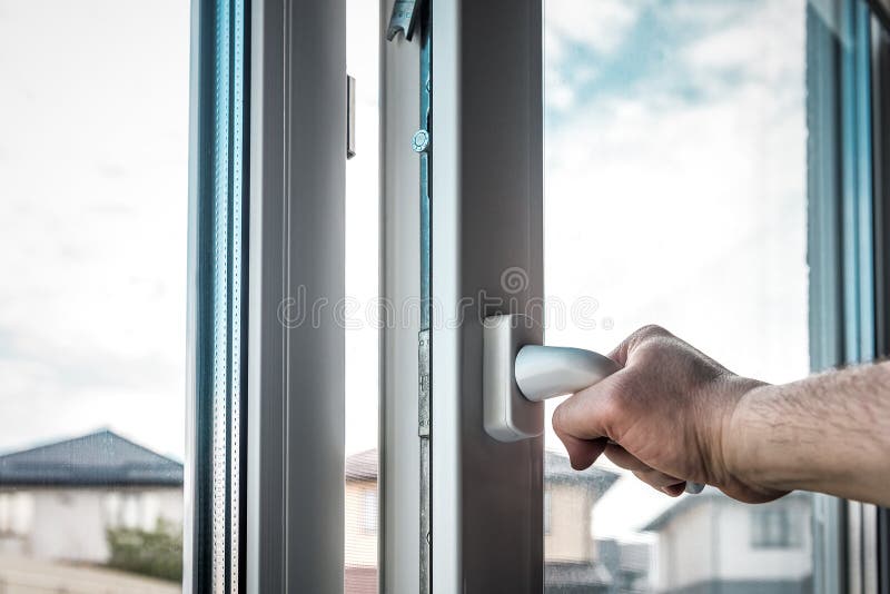 Human Hand Picking Tip Green Tea Leaf on Organic Tea Plantation Stock ...
