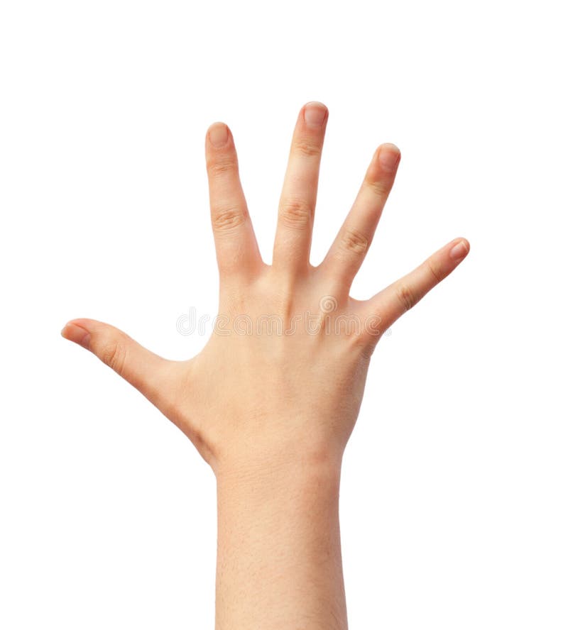 Human hand over white stock image. Image of human, give - 26846013
